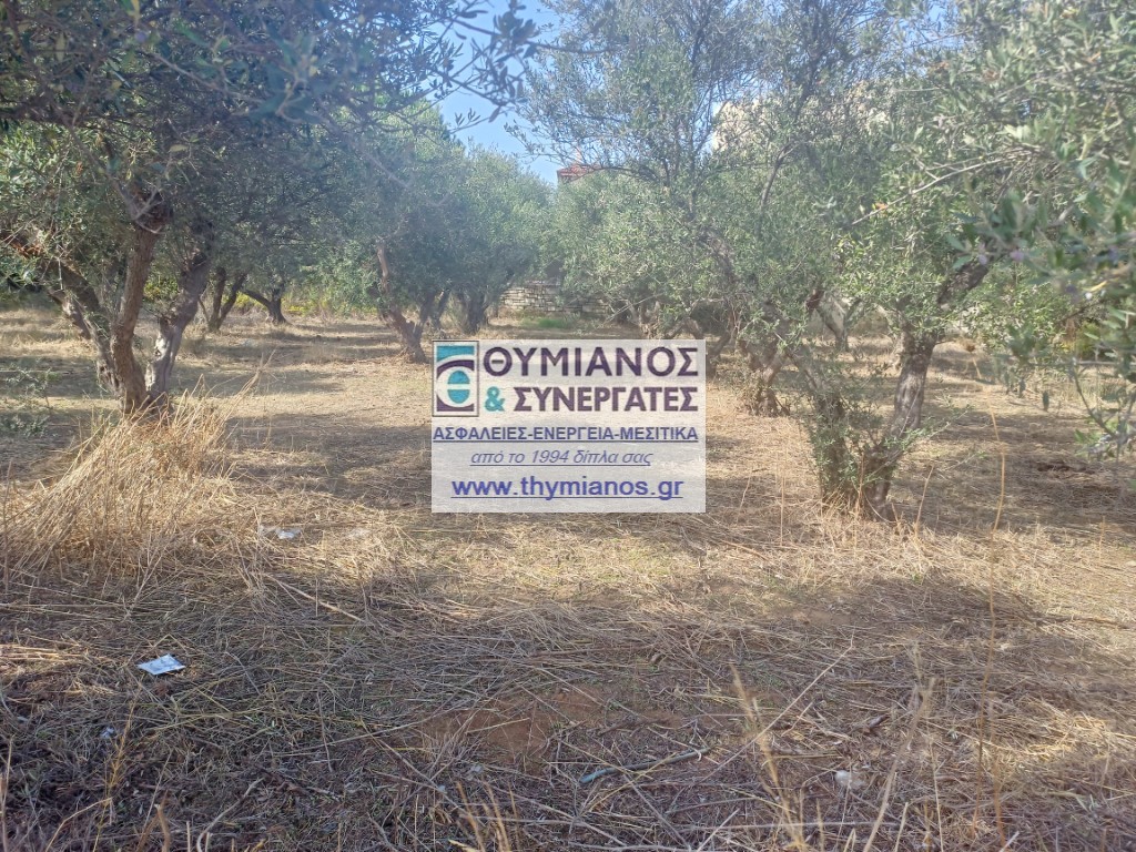 Πωλείται οικόπεδο 1786 τμ δόμηση 1072 τμ, στο Πασακάκι 750,000 ...