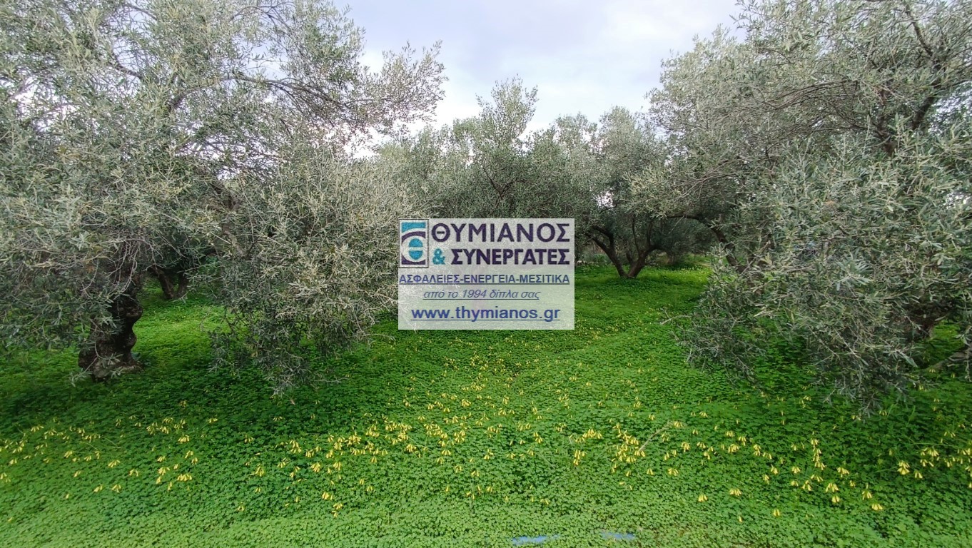 Πωλείται οικόπεδο στο Λυγιδέ Χανίων 501 τμ εντός οικισμού με δόμηση 240 ...