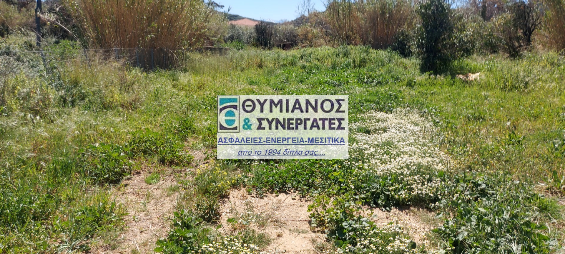 Πωλείται οικόπεδο 2748 τμ με δόμηση 400 για κατοικία ή 1500 για ...
